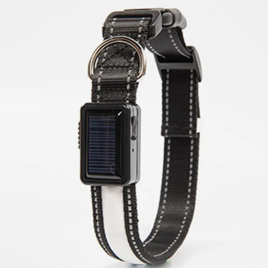 BlakOutlet LED Solar Luminous Collar – Doobert