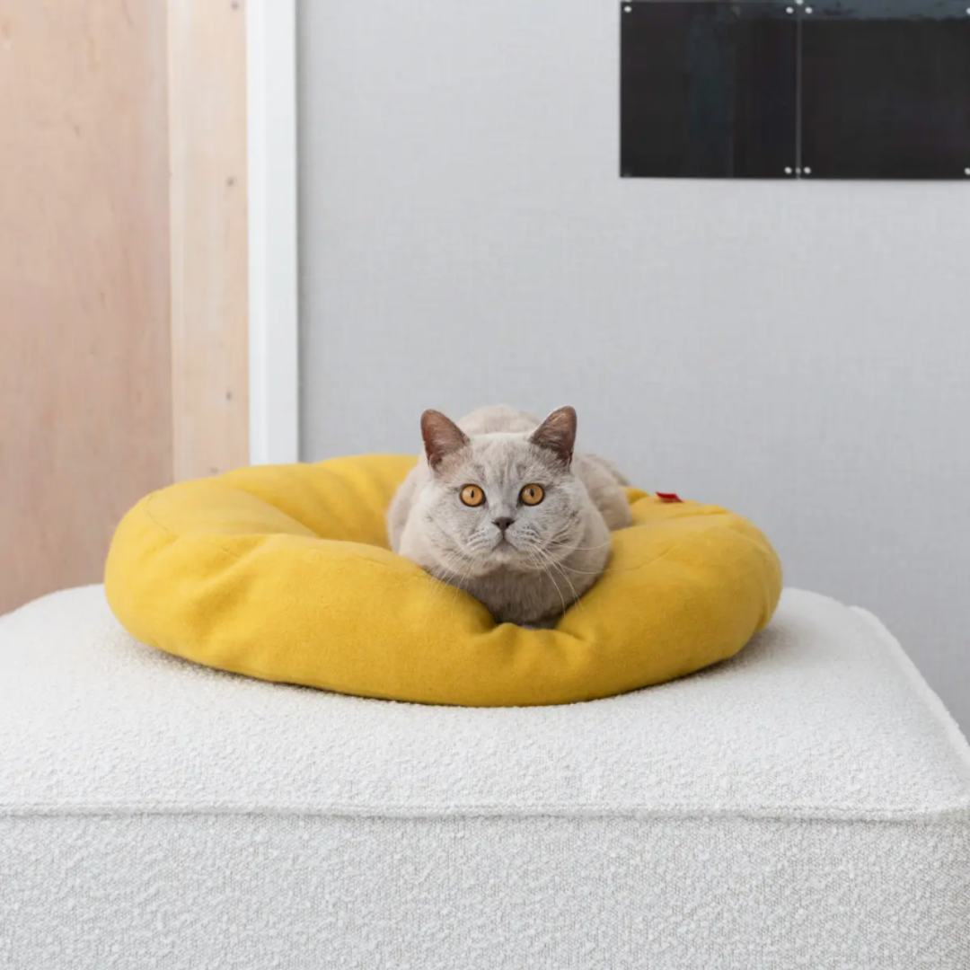 Hoopo Donut Cat Bed – Doobert