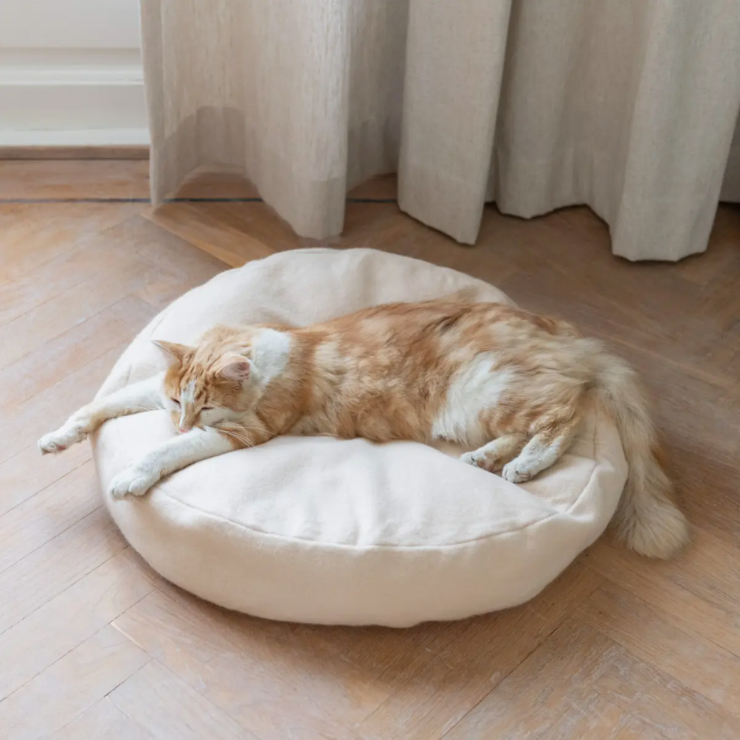 Hoopo Donut Cat Bed – Doobert