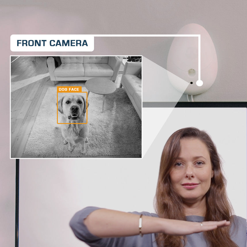 Go Dogo - Mental Stimulation Game for Dogs – Doobert